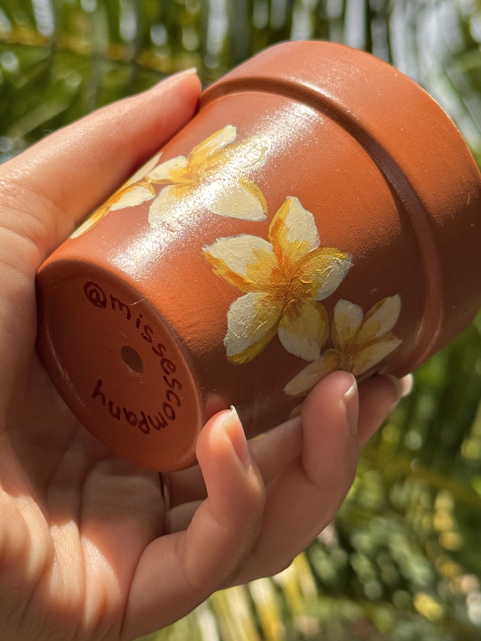 Pua Melia Pot Design | Plumeria Pot | Hand Painted on Terra Cotta Pot ...