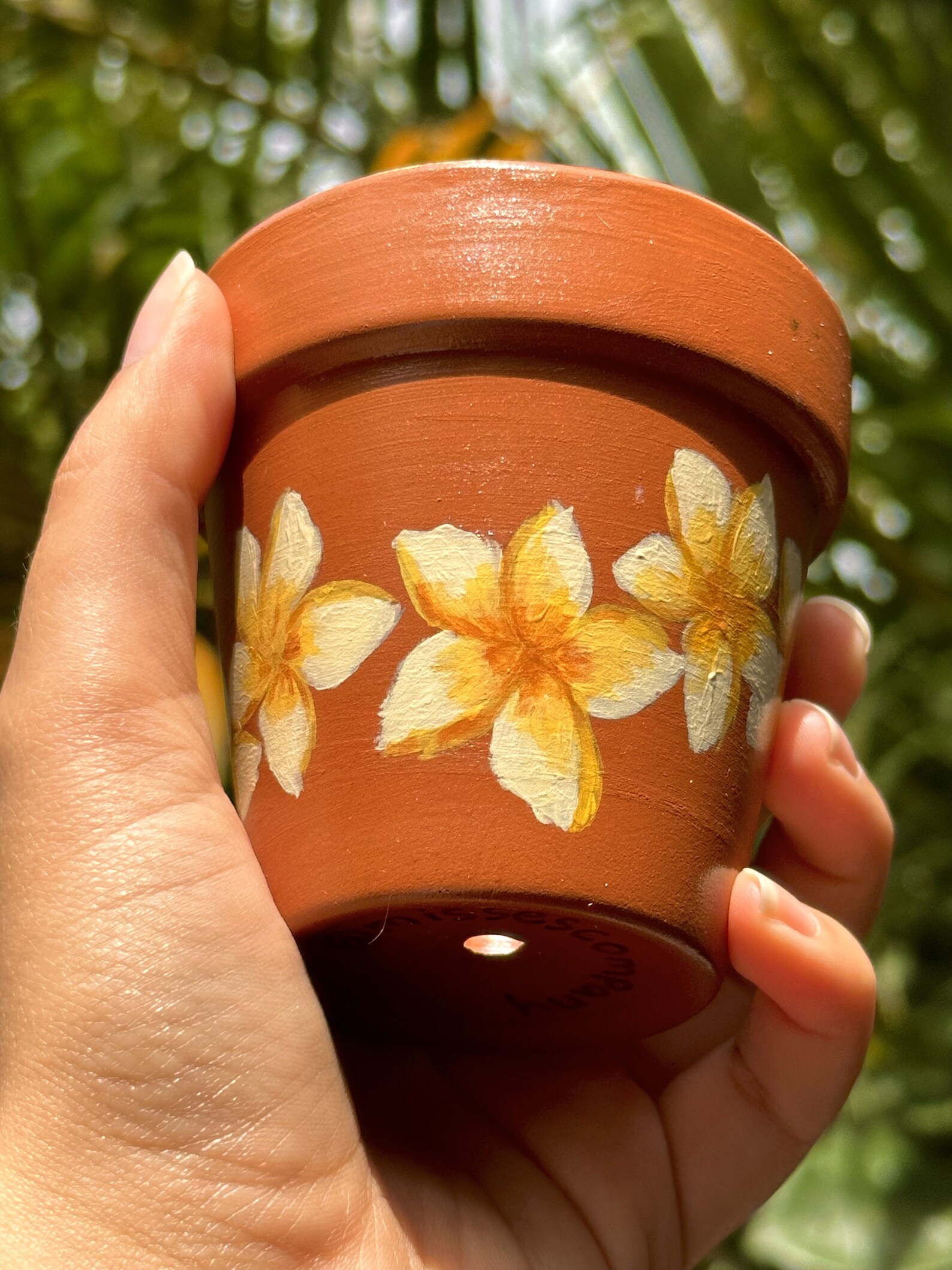 Pua Melia Pot Design | Plumeria Pot | Hand Painted on Terra Cotta Pot ...