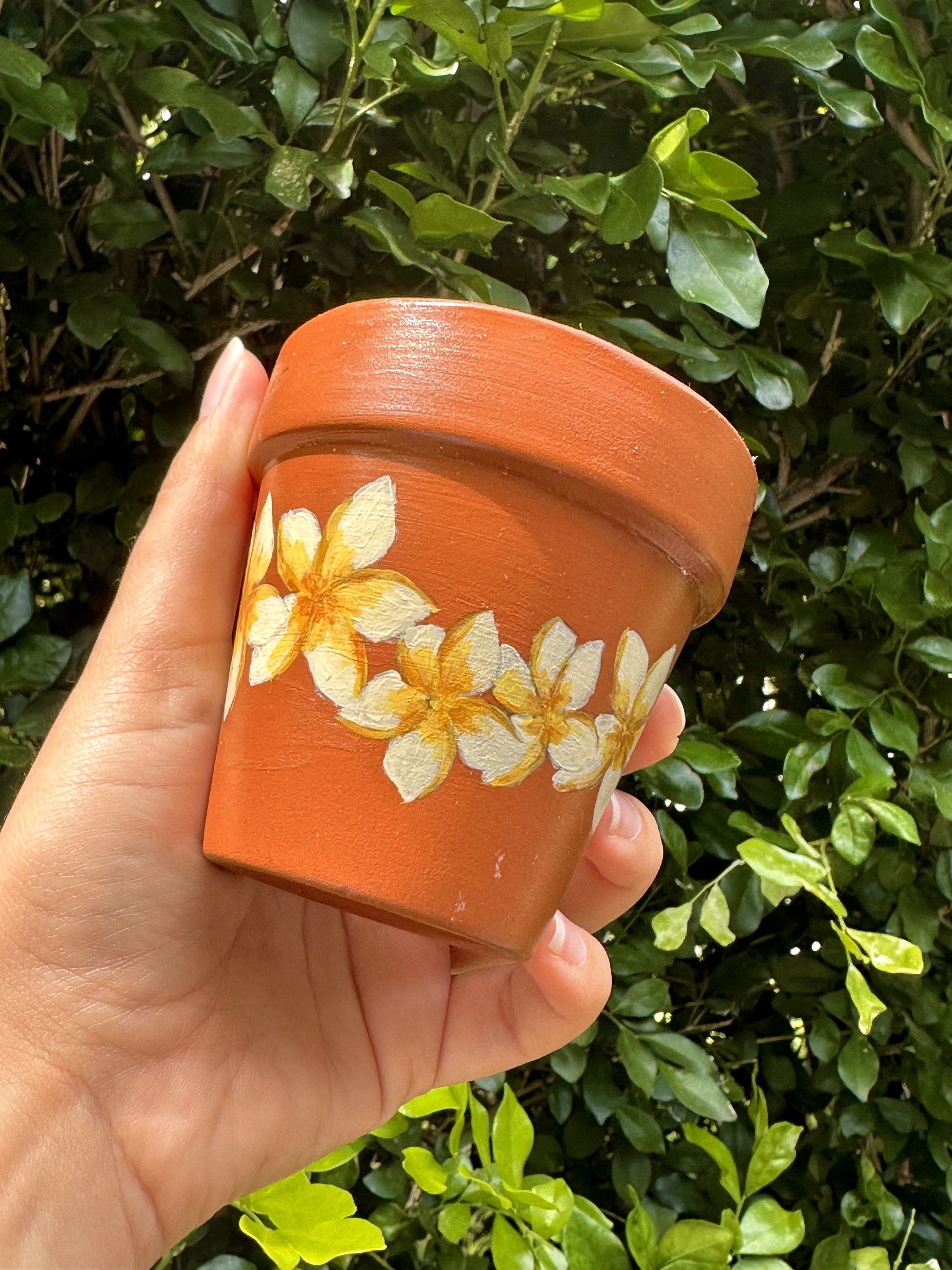 Pua Melia Pot Design Plumeria Pot Hand Painted on Terra Cotta Pot Small ...