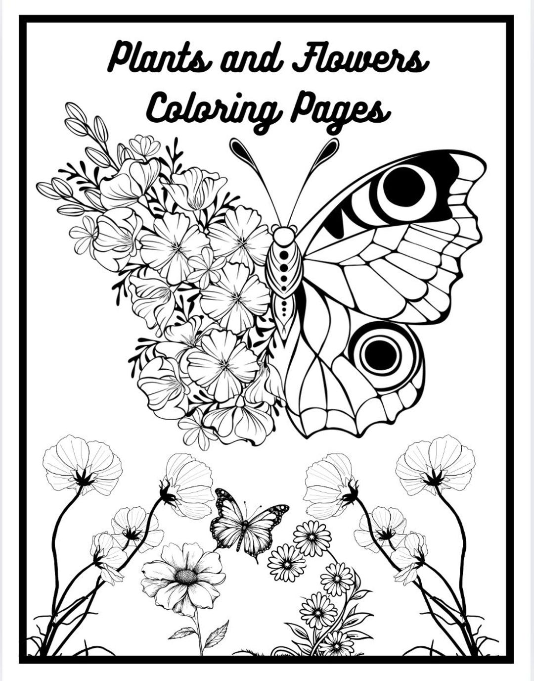 Plant and Flower Coloring Pages, Flowers, Spring, Plants - Etsy