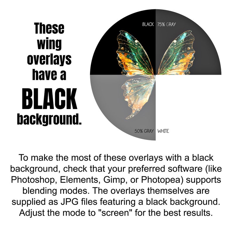 Colorful Fairy Wing Overlays, Composite Photography, Fairytale Magic ...