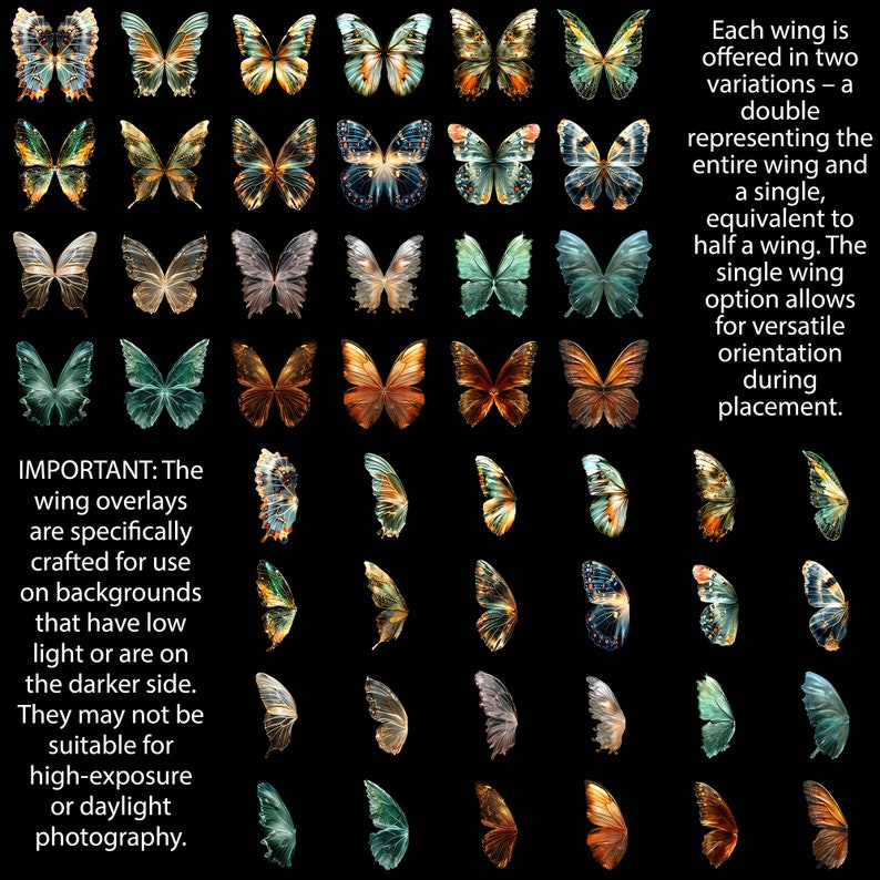 Colorful Fairy Wing Overlays, Composite Photography, Fairytale Magic ...