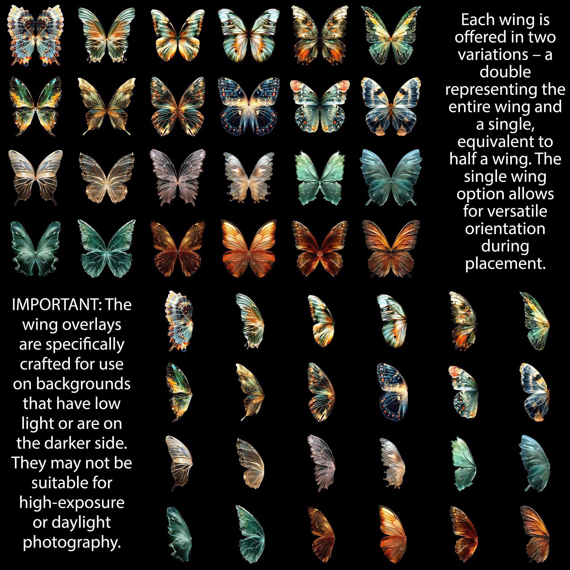 Colorful Fairy Wing Overlays, Composite Photography, Fairytale Magic ...
