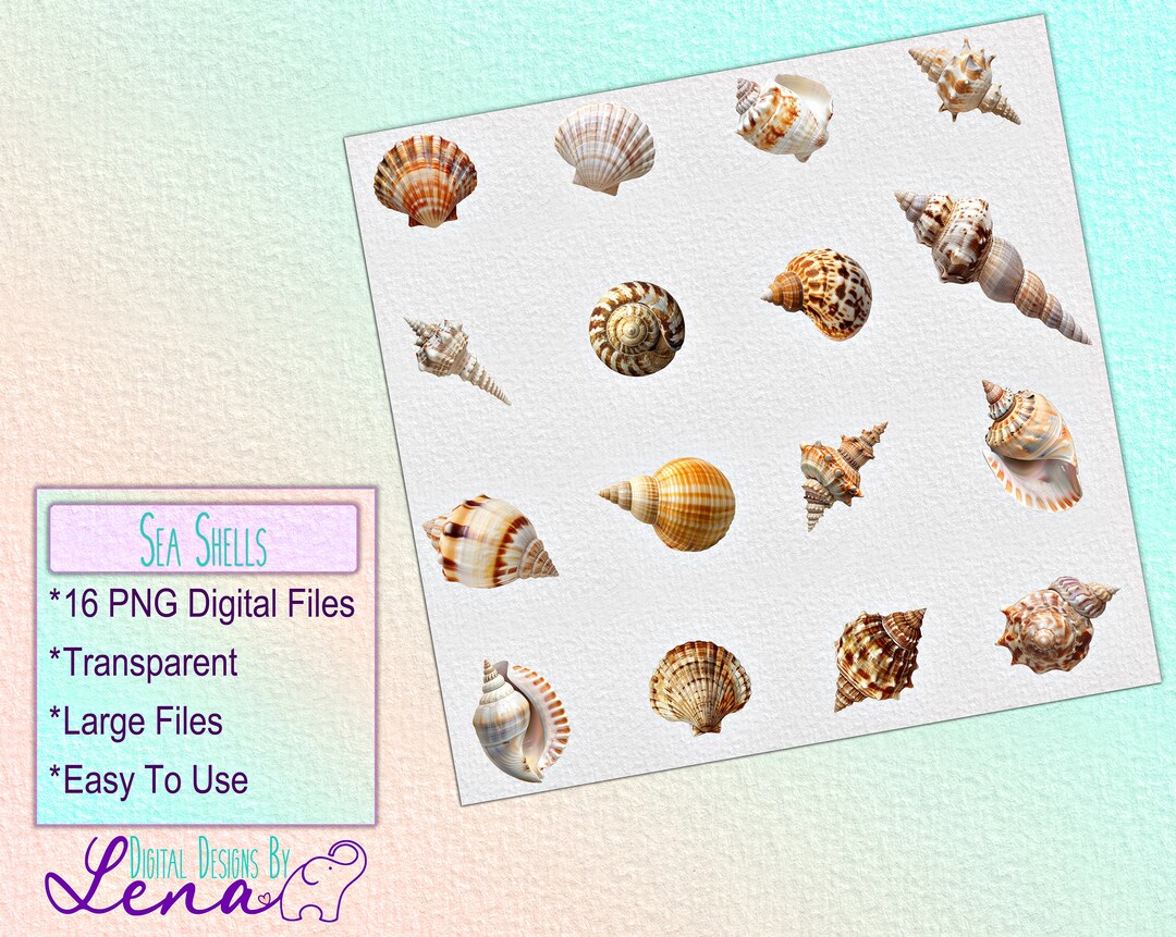 16 Sea Shell Overlays: Digital Overlays for Photo Storytelling ...