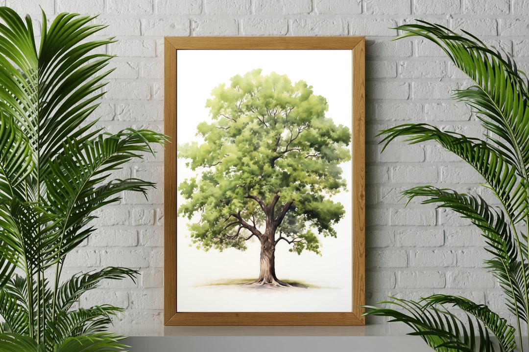 Oak Tree Watercolor Painting Print, Gift for Nature Lover - Etsy