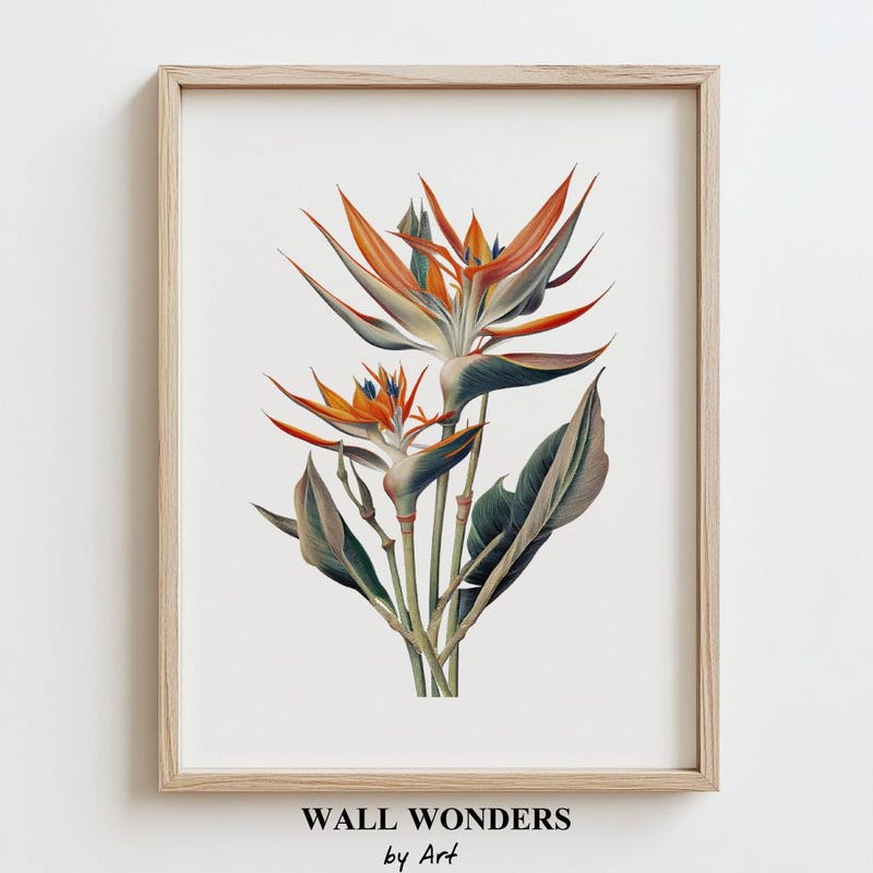 Strelitzia Art - Etsy