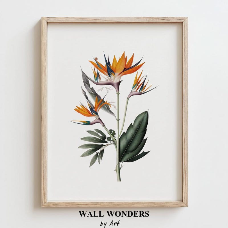 Strelitzia Art - Etsy