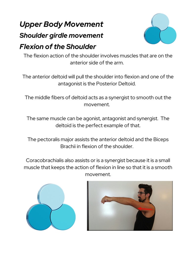 Kinesiology Full Package Basic, Upper and Lower Movement - Etsy