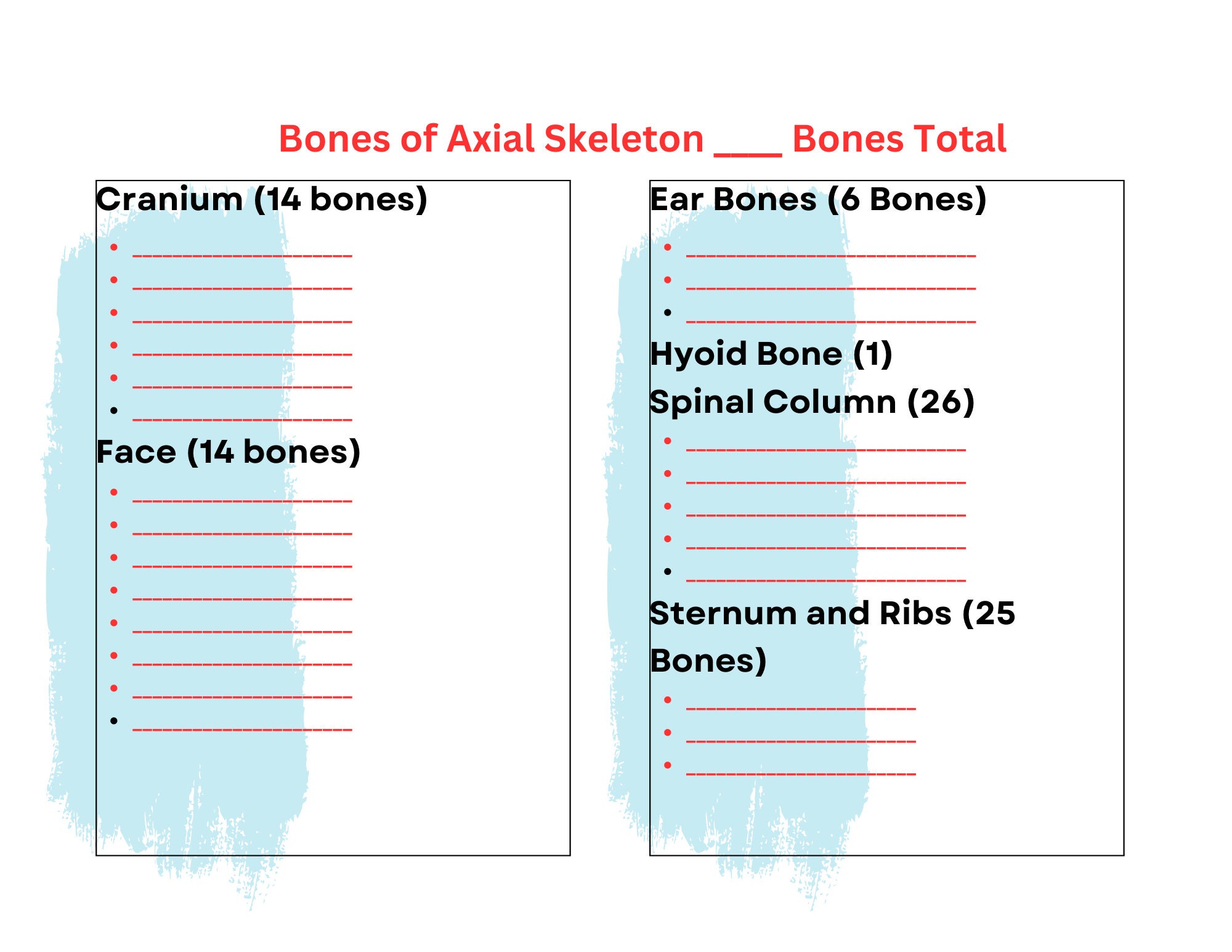 Skeletal System Basics Study Pack - Etsy