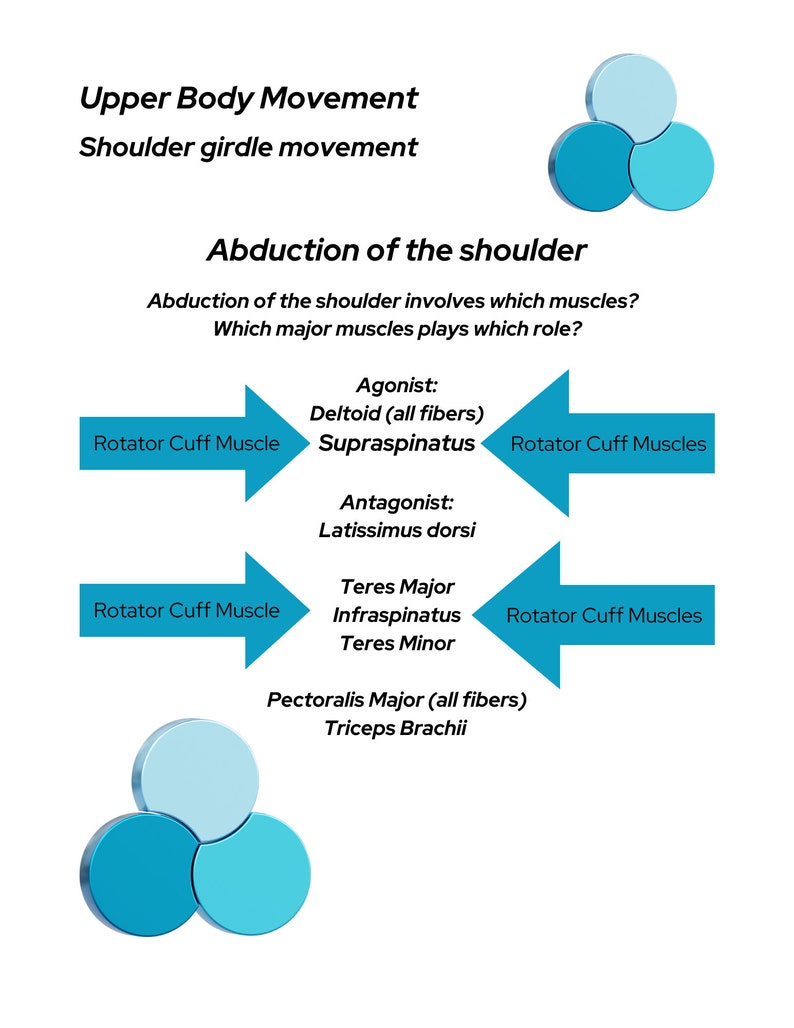 Kinesiology Full Package Basic, Upper and Lower Movement - Etsy