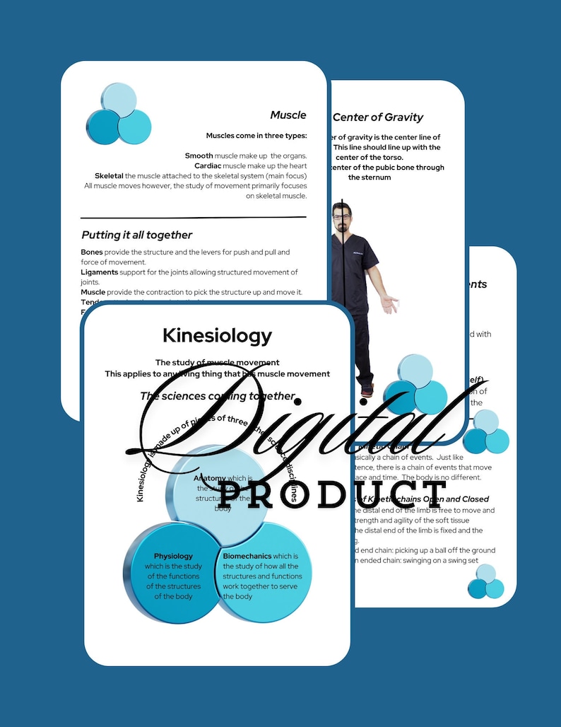 Learn Basic Kinesiology With These Digital Pages Full of Information on ...