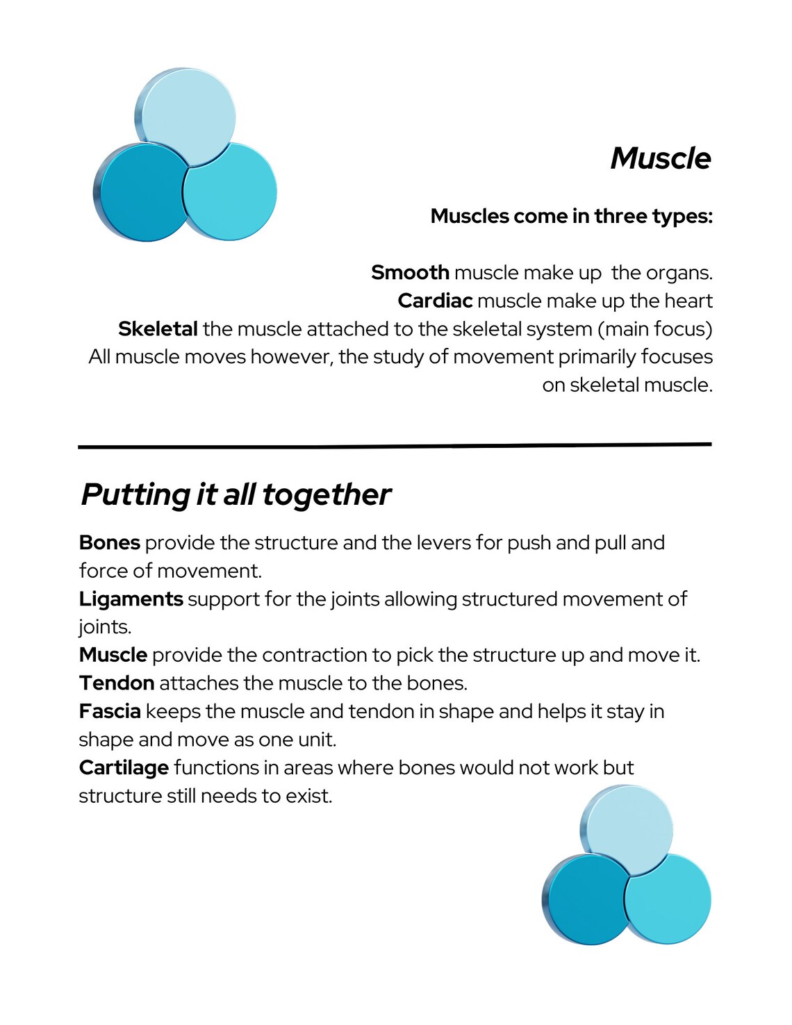 Learn Basic Kinesiology With These Digital Pages Full of Information on ...