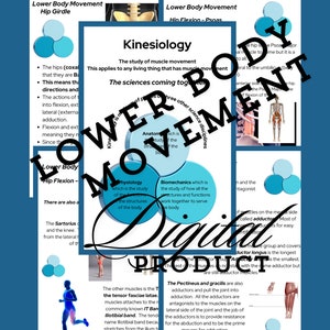 Kinesiology Full Package Basic, Upper and Lower Movement - Etsy