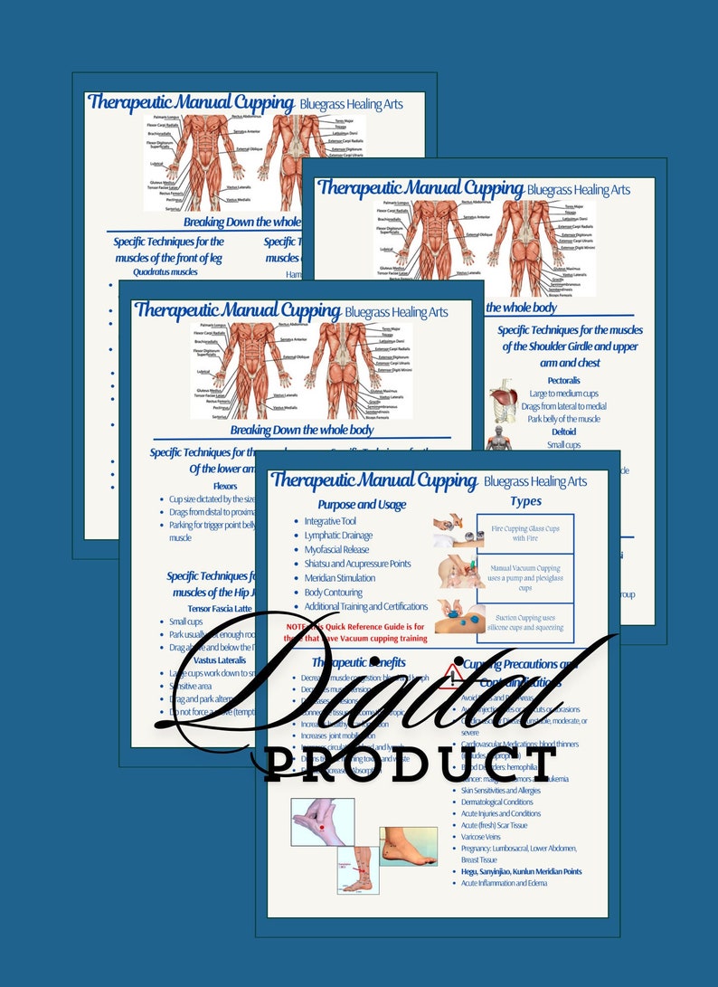 Massage Cupping Cheat Sheet for Cup Sizes and How to Use Them. - Etsy