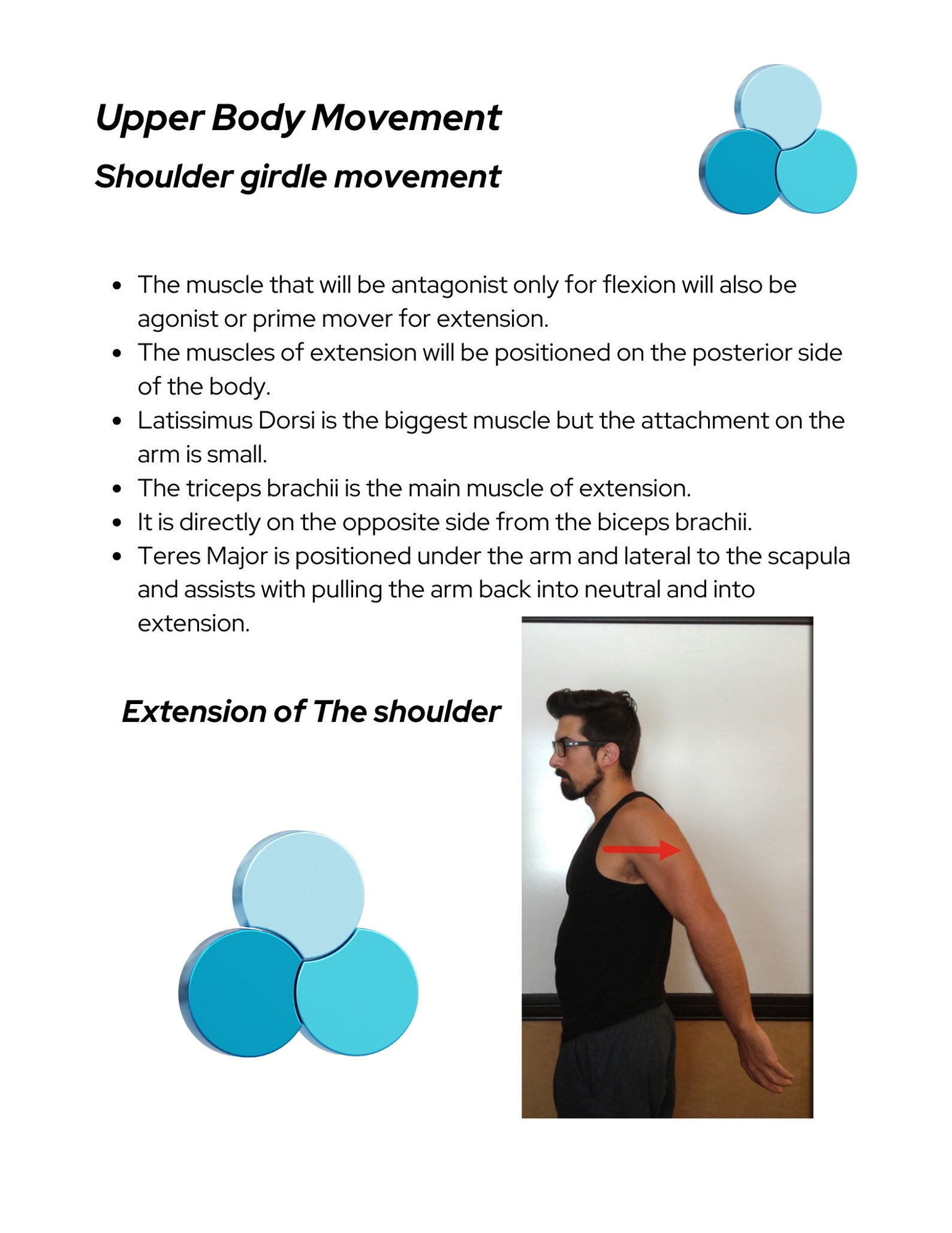 Kinesiology Full Package Basic, Upper and Lower Movement - Etsy