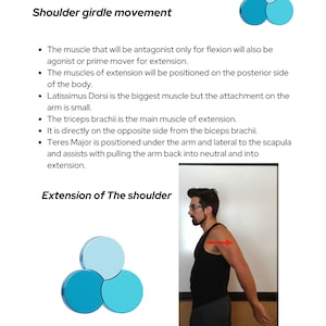 Kinesiology Full Package Basic, Upper and Lower Movement - Etsy