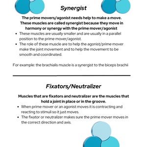 Learn Basic Kinesiology With These Digital Pages Full of Information on ...