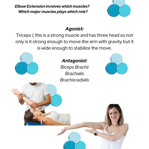 Kinesiology Full Package Basic, Upper and Lower Movement - Etsy