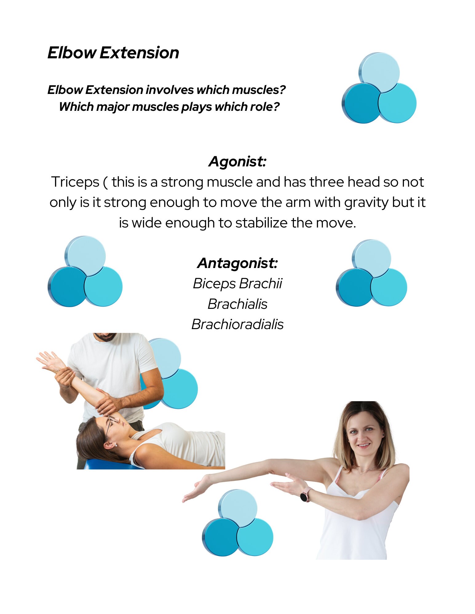 Kinesiology Full Package Basic, Upper and Lower Movement - Etsy