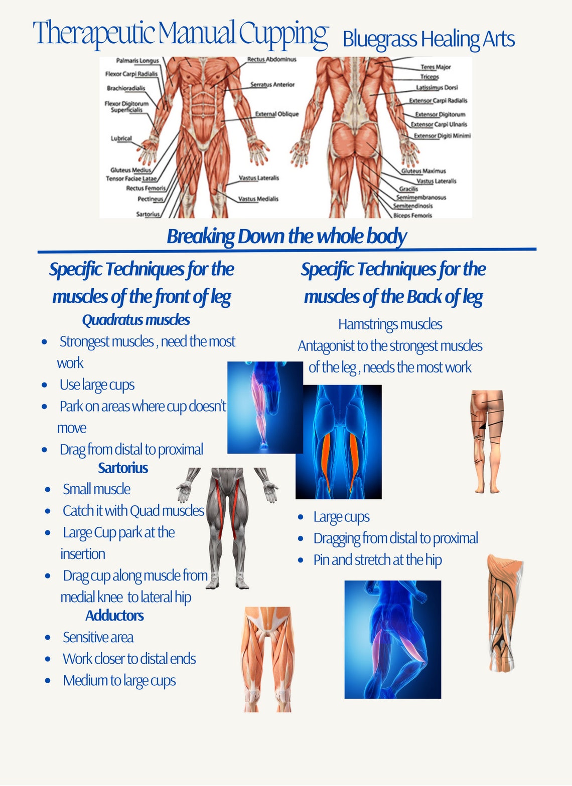 Massage Cupping Cheat Sheet for Cup Sizes and How to Use Them. - Etsy