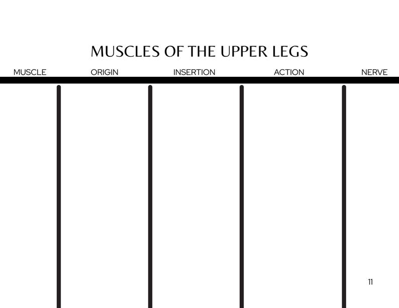 Muscle Chart Study Guide for Therapists & Students (digital Download ...