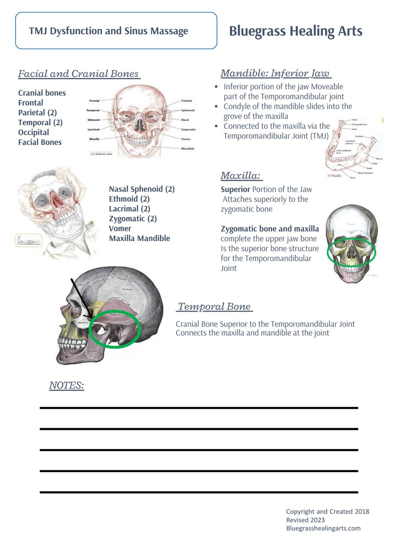 TMJ Soft Tissue Techniques Guide: Bodywork Quick Reference (PDF) - Etsy