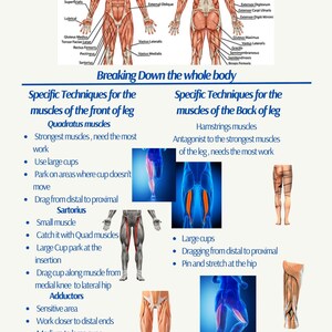 Massage Cupping Cheat Sheet for Cup Sizes and How to Use Them. - Etsy