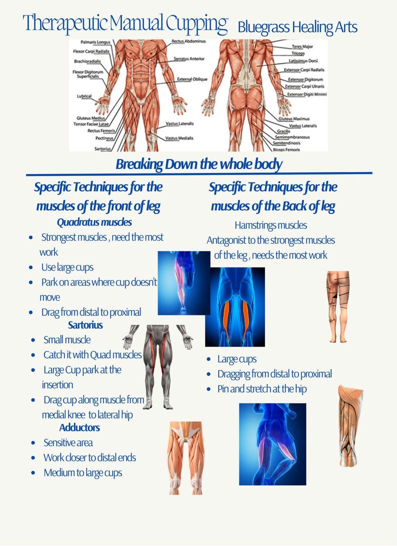 Massage Cupping Cheat Sheet for Cup Sizes and How to Use Them. - Etsy