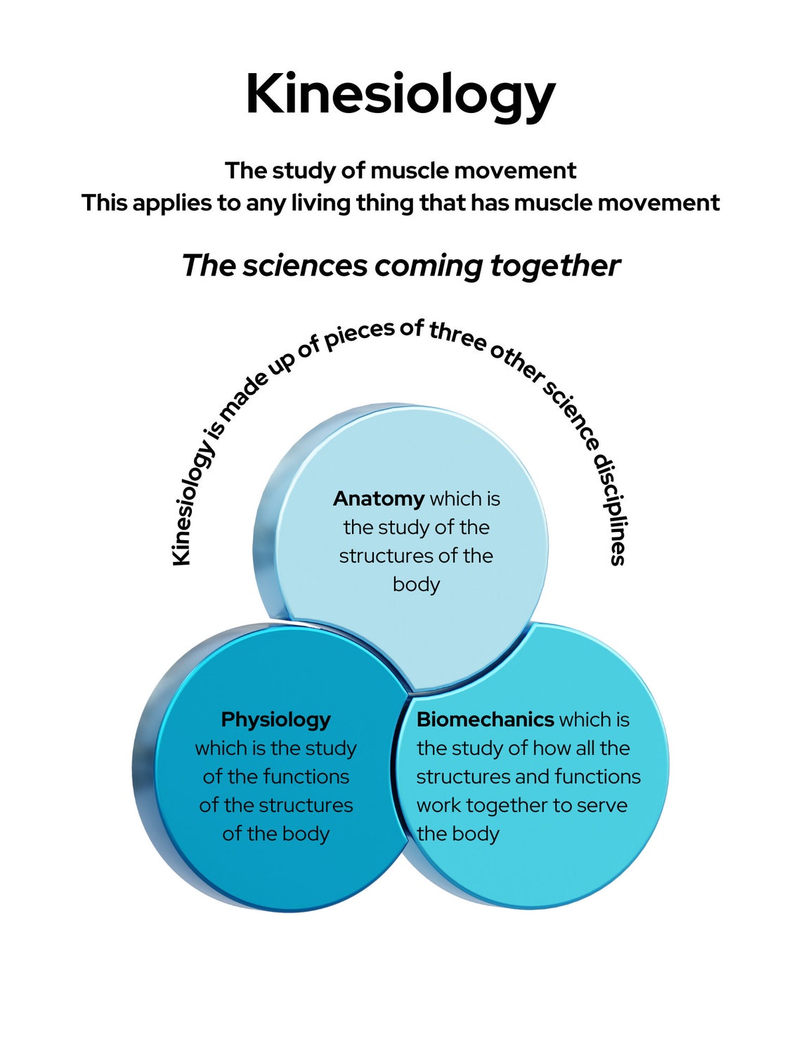 Learn Basic Kinesiology With These Digital Pages Full of Information on Kinesiology - Etsy