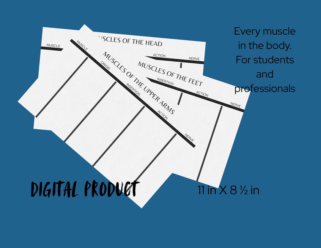 Muscle Chart Study Guide for Therapists & Students (digital Download ...