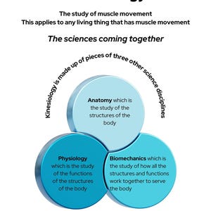 Kinesiology Full Package Basic, Upper and Lower Movement - Etsy