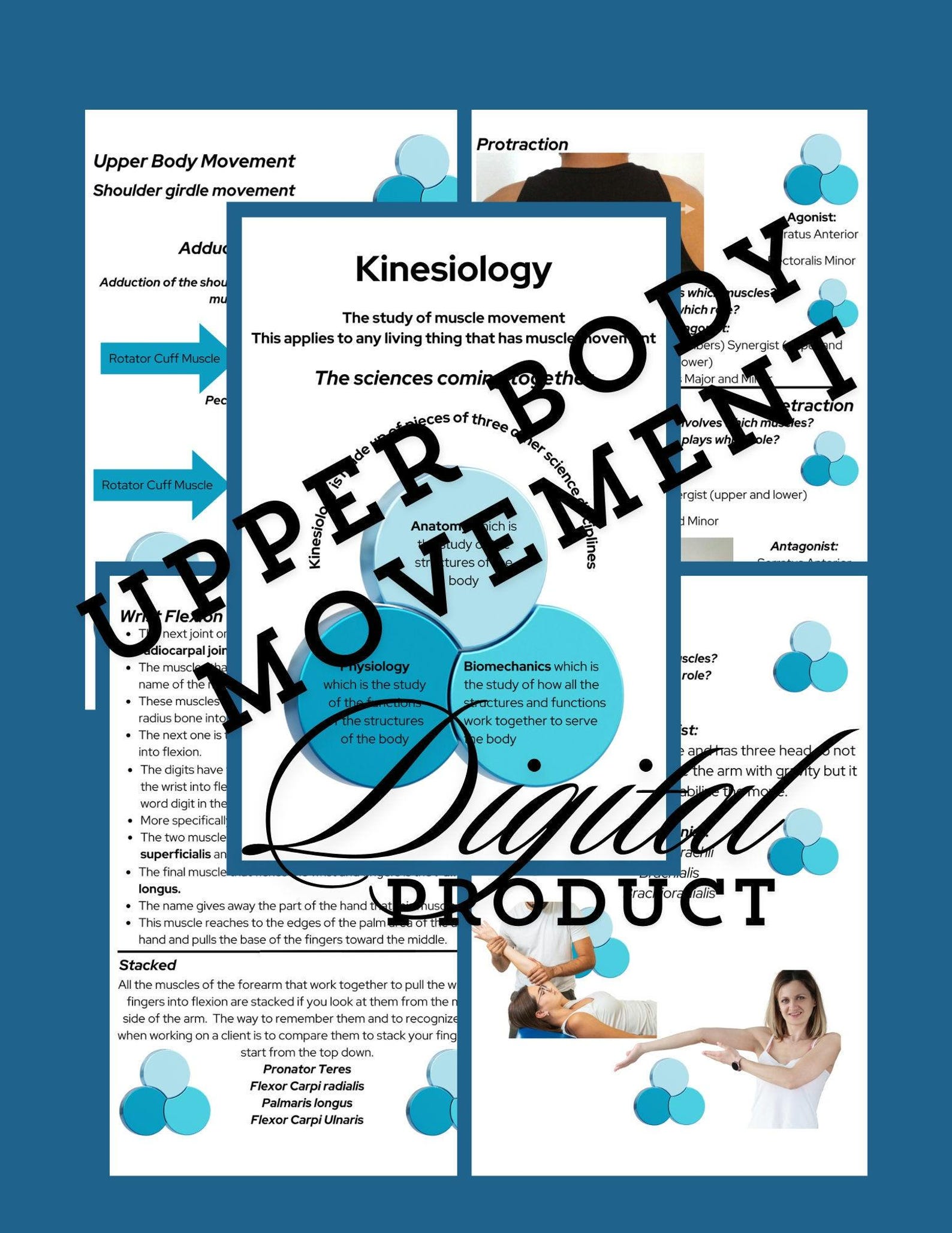 Kinesiology Full Package Basic, Upper and Lower Movement - Etsy