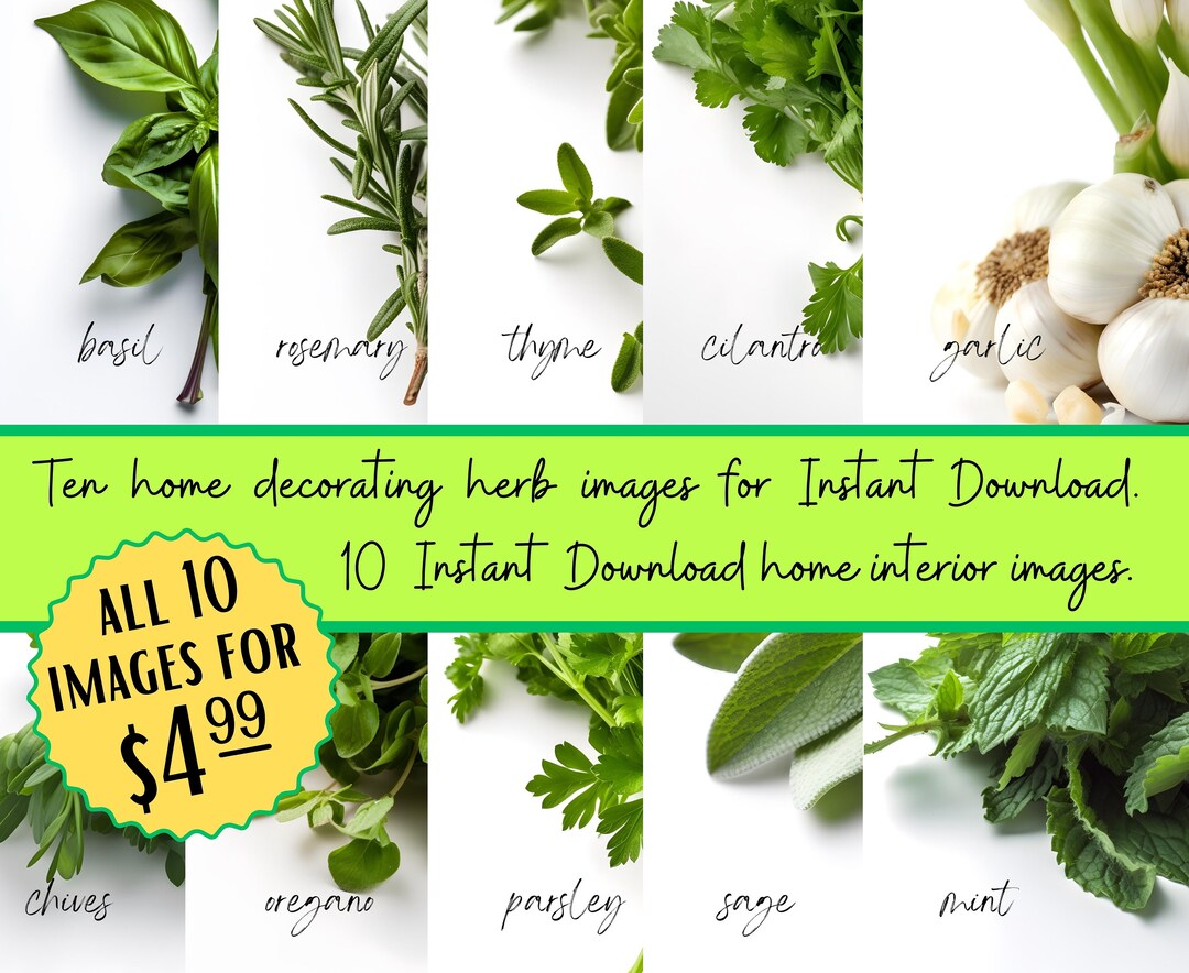 Realistic Herb Wall Art Kitchen Home Decor Printable Wall Art Herb ...