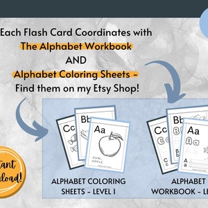 Alphabet Flash Cards Digital Download Printable for Preschool Toddler ...