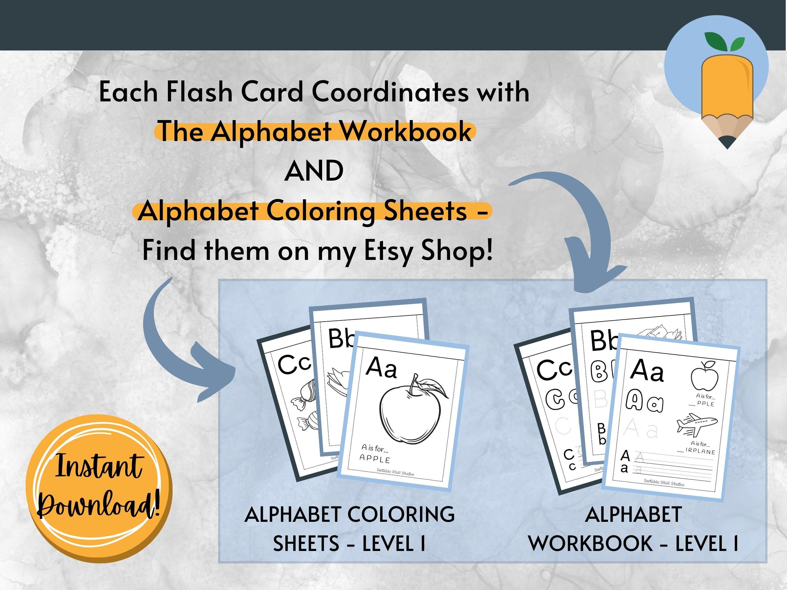 Alphabet Flash Cards Digital Download Printable for Preschool Toddler ...