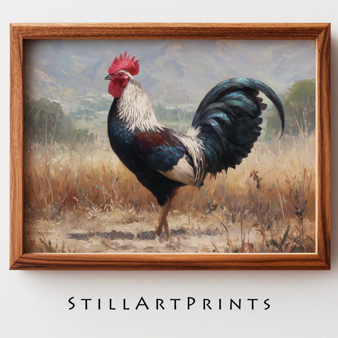 Rustic Marans Rooster Art, Vintage Farmhouse Wall Decor, Moody Gallo De ...