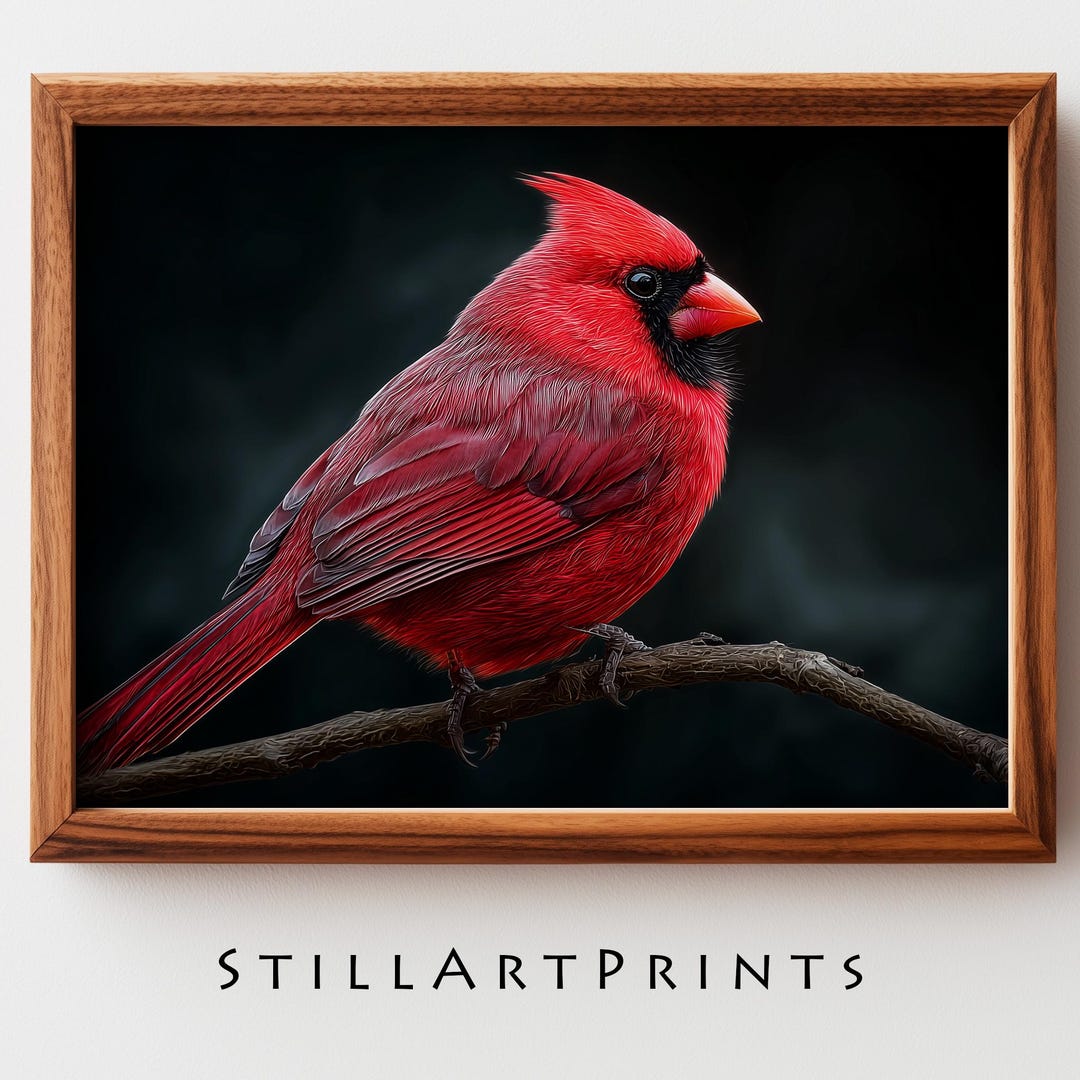 Spring Cardinal Portrait Printable - Striking Bird Art on Dark ...