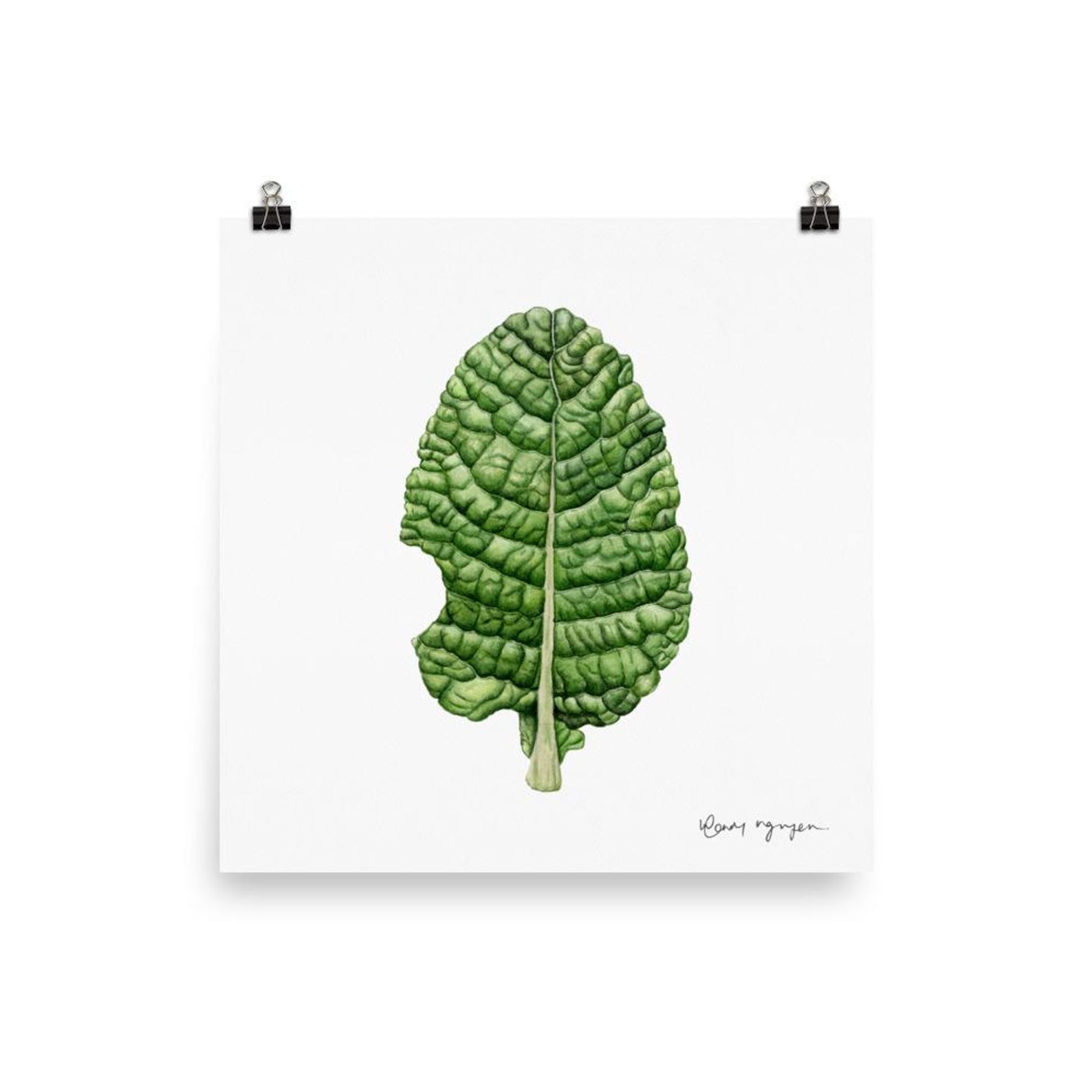 Primrose Leaf Wall Art Print White Background – Botanical Kitchen Decor ...