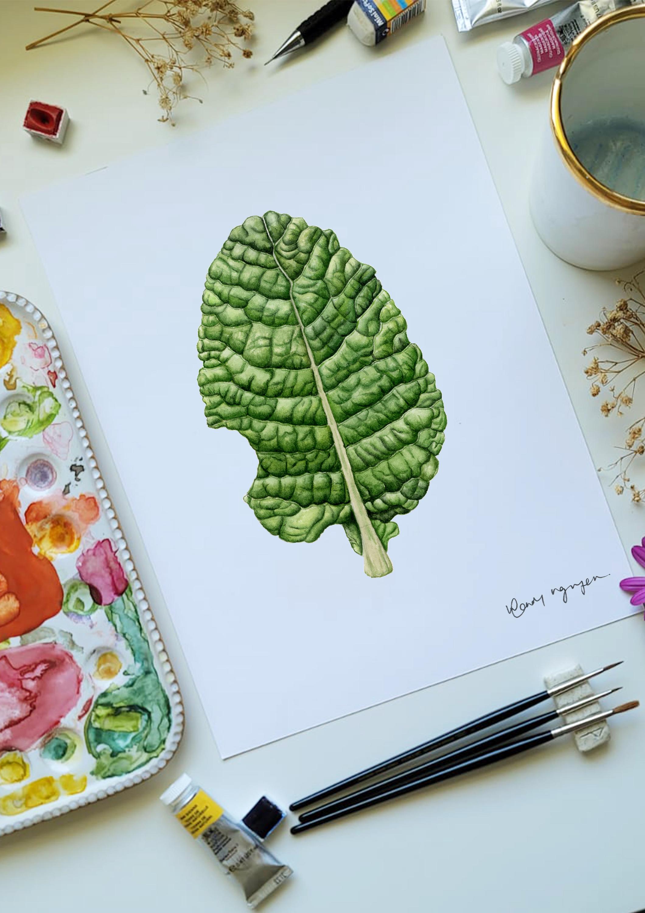 Primrose Leaf Wall Art Print White Background – Botanical Kitchen Decor ...