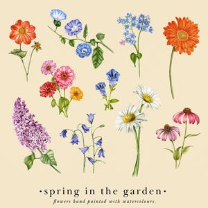 Spring in the Garden – Watercolor Wildflower Art Print Beige Background ...