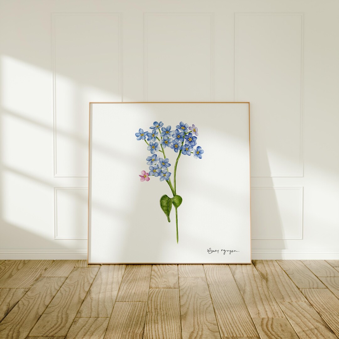 Forget-me-not White Background Botanical Watercolor Artwork Floral ...
