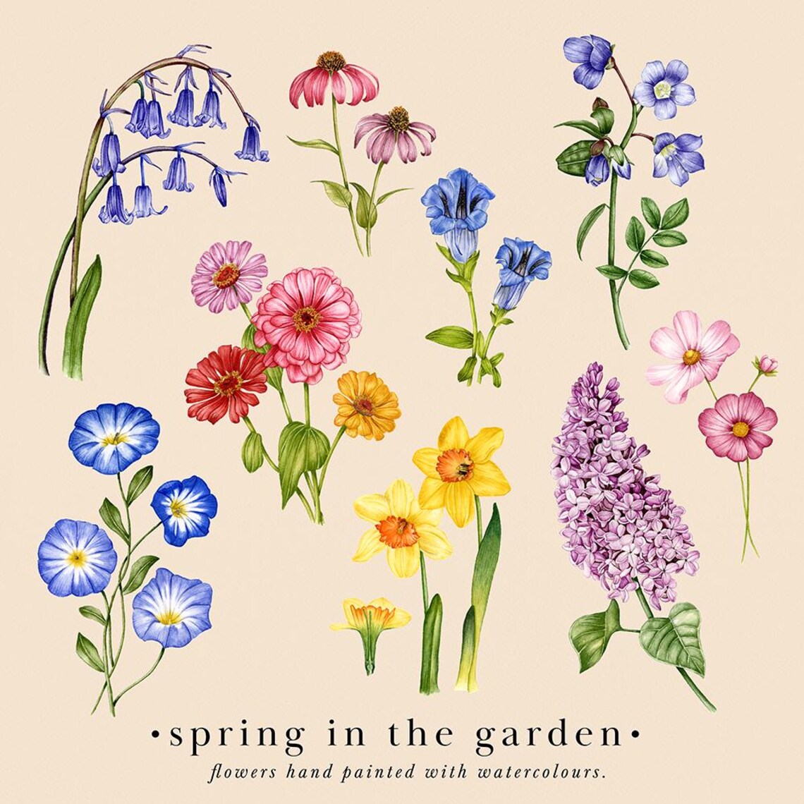 Spring in the Garden – Watercolor Wildflower Art Print Light Pink ...
