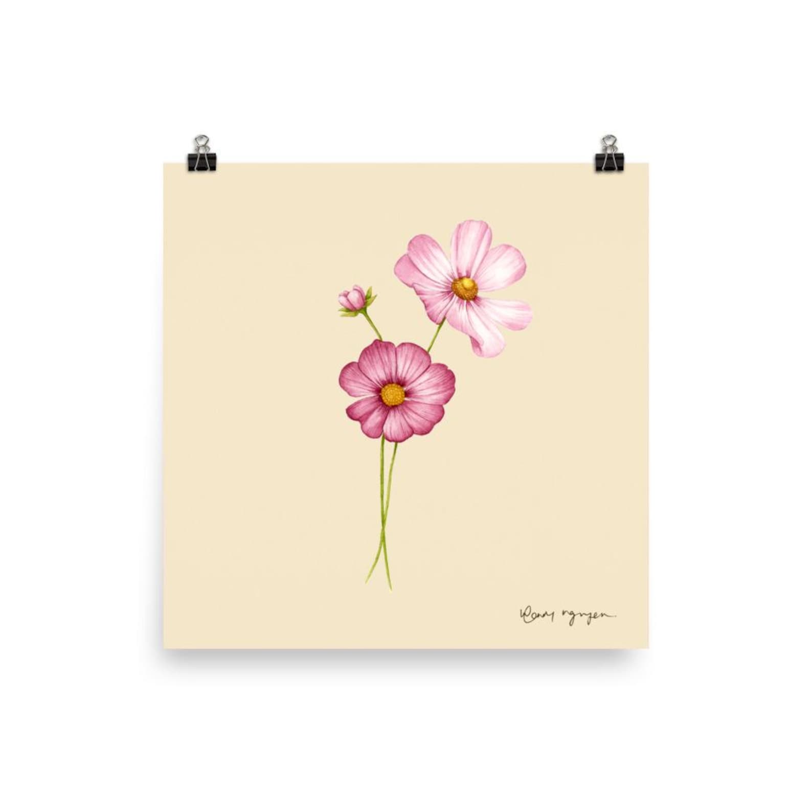 Cosmos Beige Background - Botanical Watercolor Artwork - Floral ...
