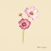 Cosmos Beige Background - Botanical Watercolor Artwork - Floral ...