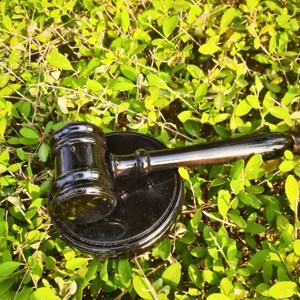 Black Gavel Made From Indian Rosewood | Mallet for Auction Engraved ...