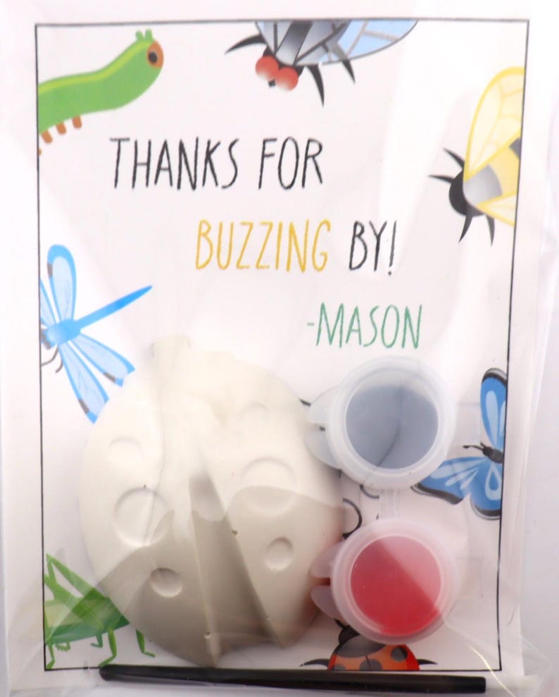 Bug Painting Party Favors for Kids – Ladybug, Butterfly, Dragonfly ...