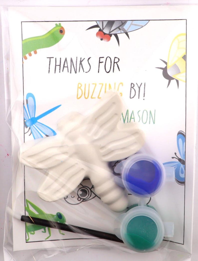 Bug Painting Party Favors for Kids – Ladybug, Butterfly, Dragonfly ...