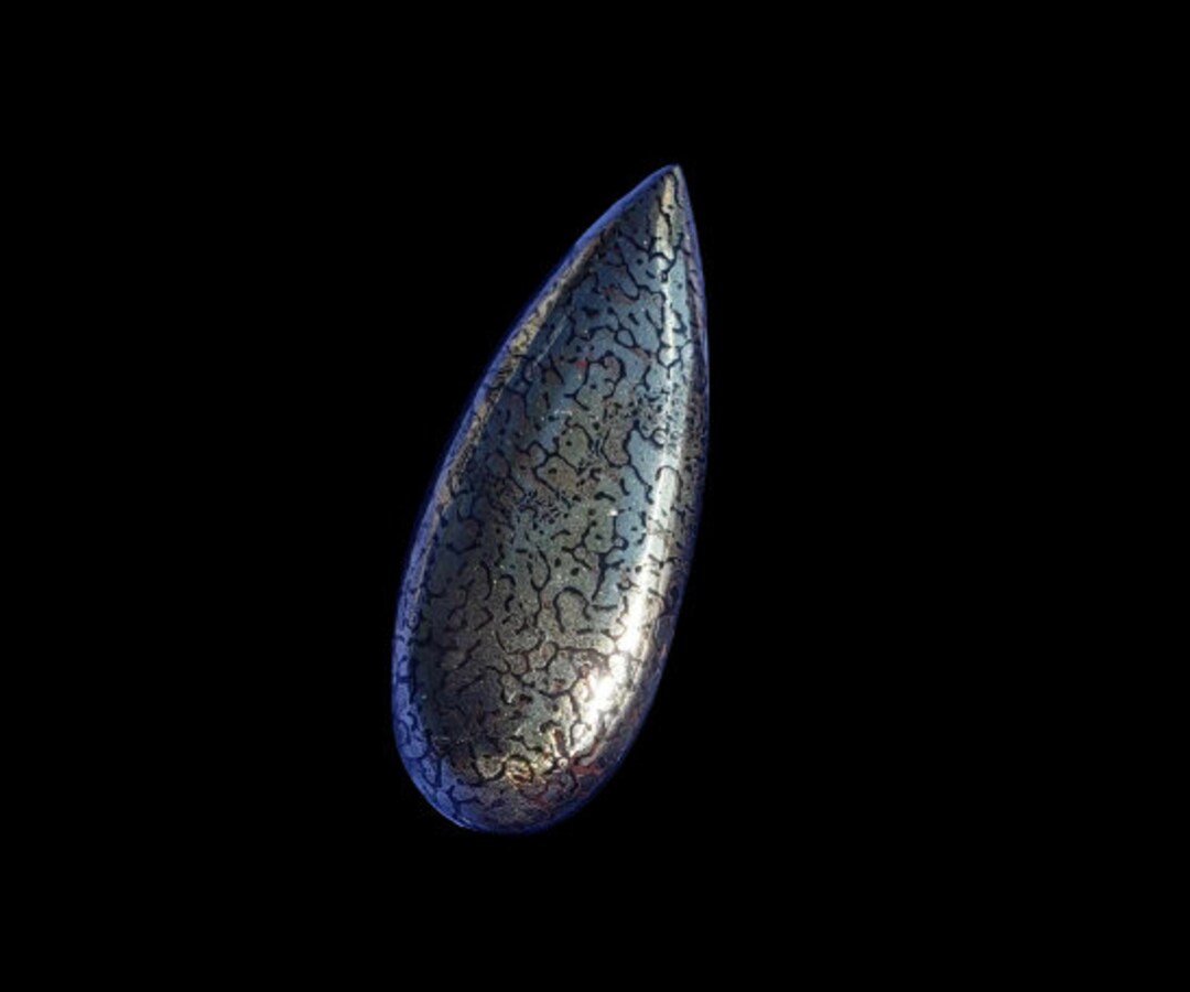 Pyritized Triceratops Fossil Gembone Cab 6 - Etsy