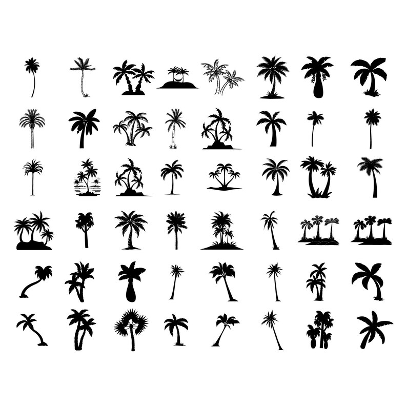 Cute Palm Tree Svg Bundle Palm Tree Clipart Tree Circuit Of Palm Palm Trees Svg Palm Tree