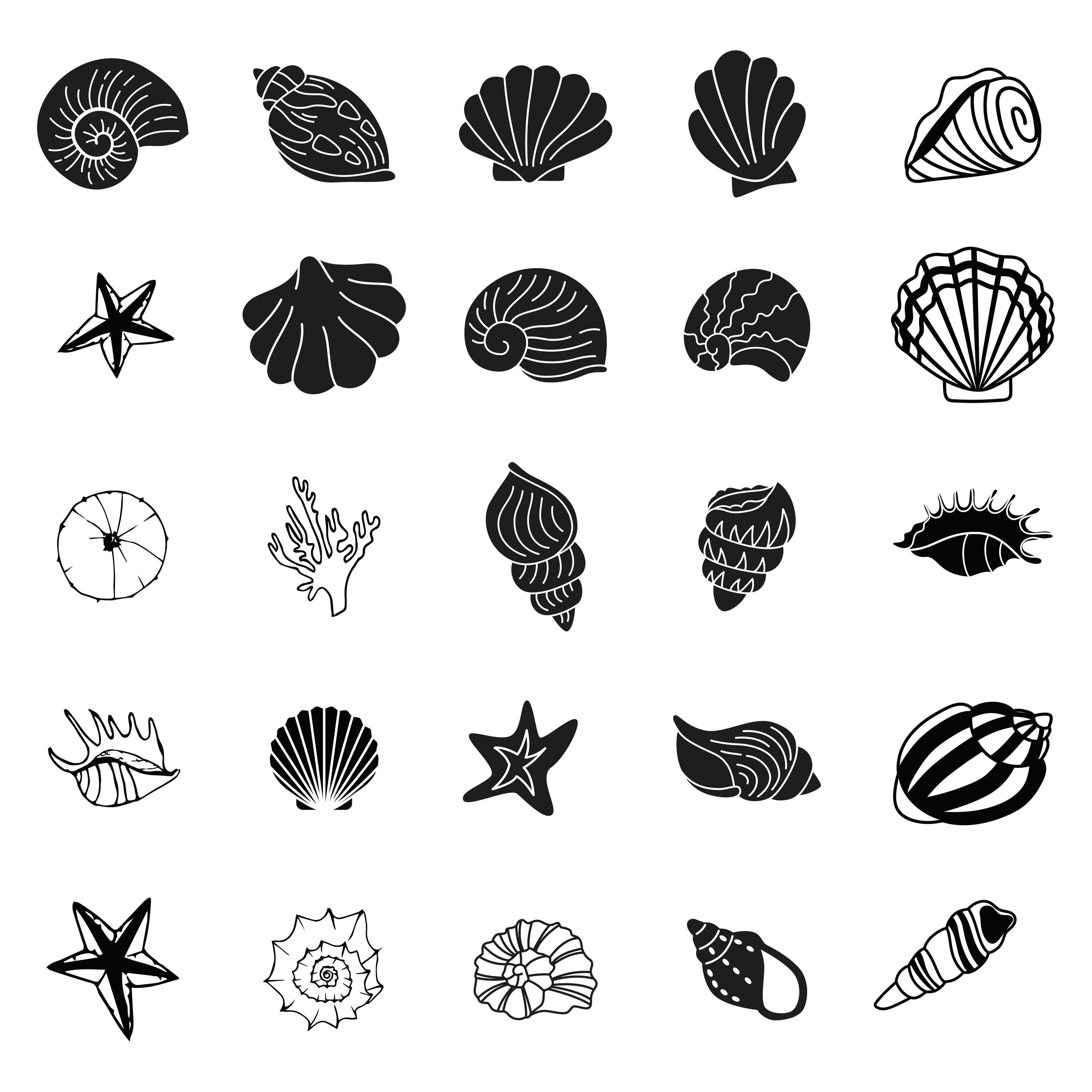 Cute Seashell Svg, Seashell Clipart, Seashell PNG, Sea World Svg ...